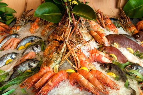 Savor the South: Culinary Gems of the Mississippi Gulf Coast
